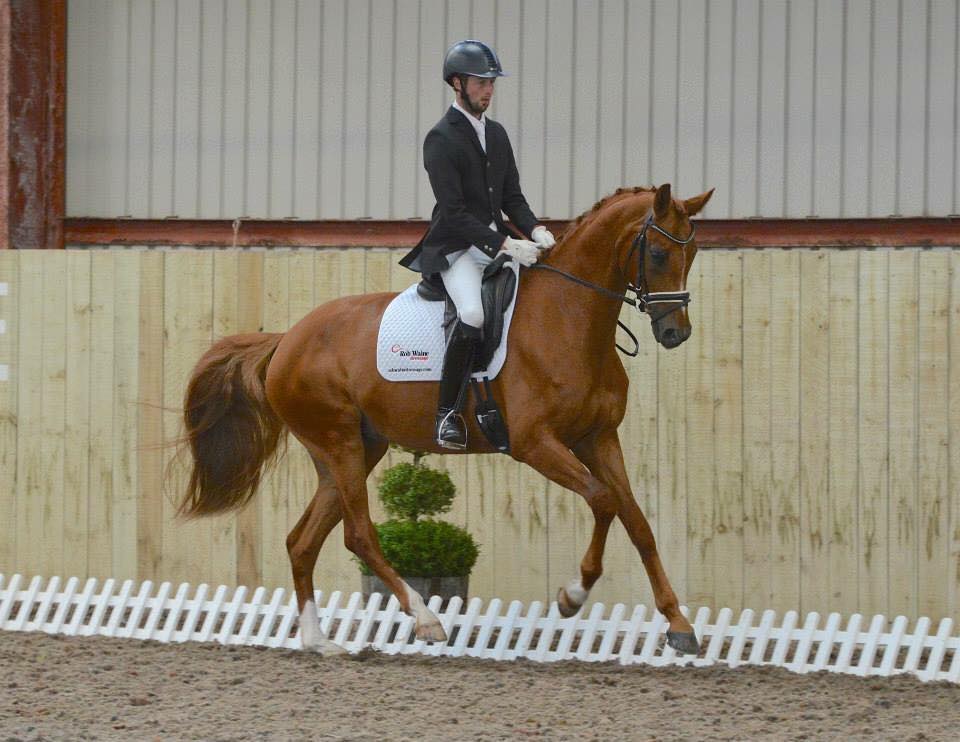 Rob - Rob Waine Dressage