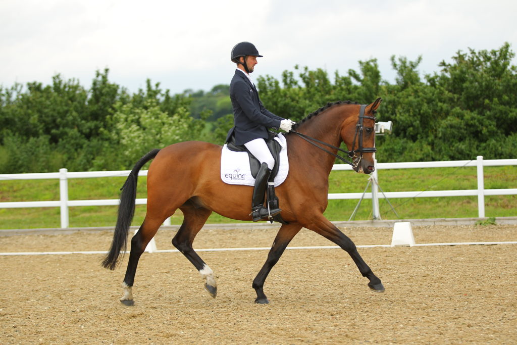 News - Rob Waine Dressage